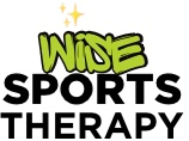 Book a massage with Wise Sports Therapy | Cuyahoga Falls OH 44221