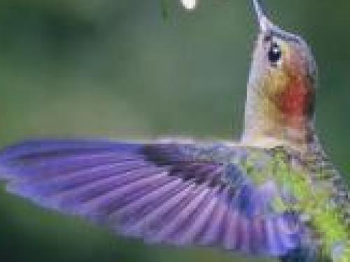 Miranda Poore Massage Therapist in norwich, CT