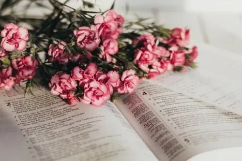 Book a massage with Jess Danielle, LMT | Chattanooga TN 37404