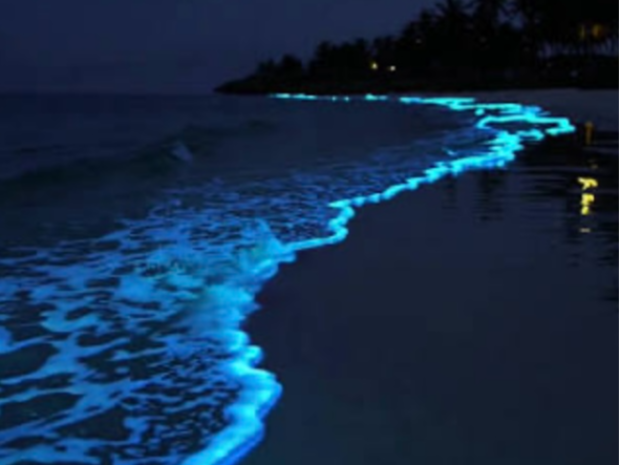 Book a massage with Blue Water Wellness & Massage | Benton LA 71006