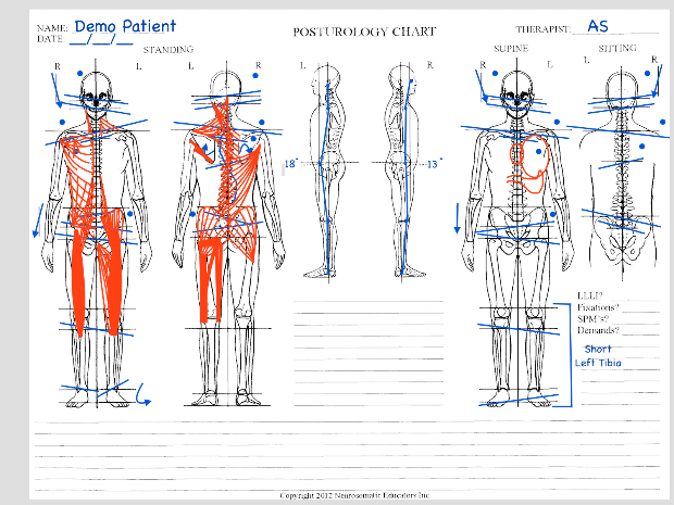 Book a massage with Fine-Tuned Bodies | New Hartford IA 50660