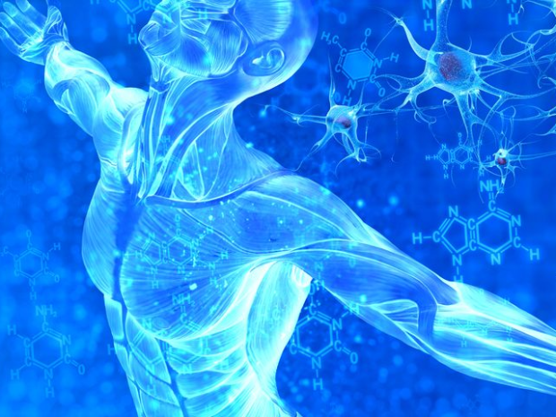 Book a massage with Bio Therapy Health | Grand Junction CO 81501