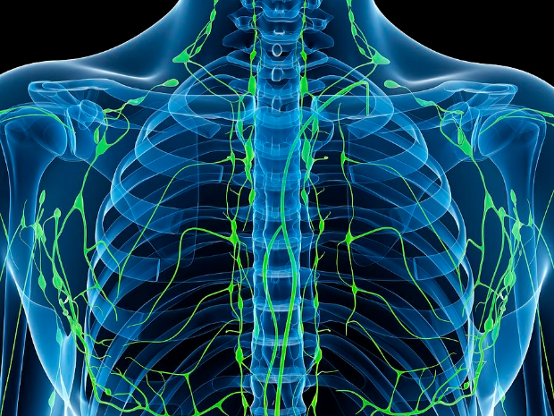 Book a massage with Fifth Element Healing Arts | Boulder CO 80301