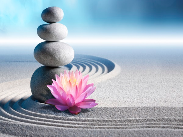 Book a massage with MILA SPA | Fort Myers FL 33901