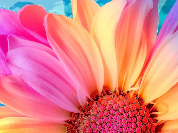 Book a massage with Jeni Mallow RMT | Buda TX 78610