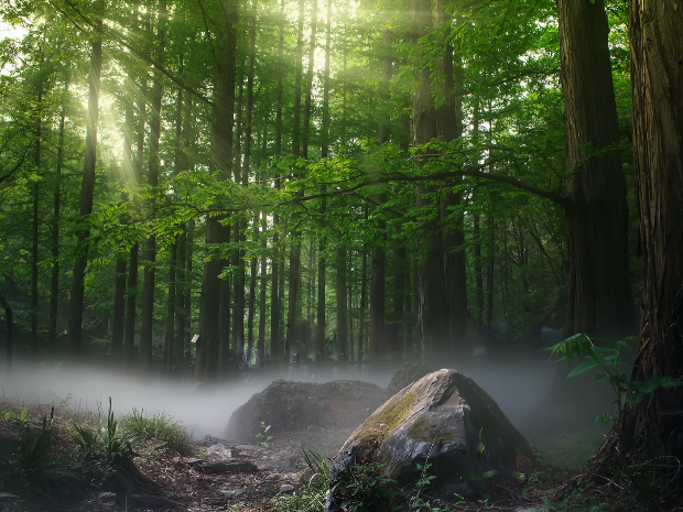 Book a massage with This Is The Place LLC | Concord NH 03301