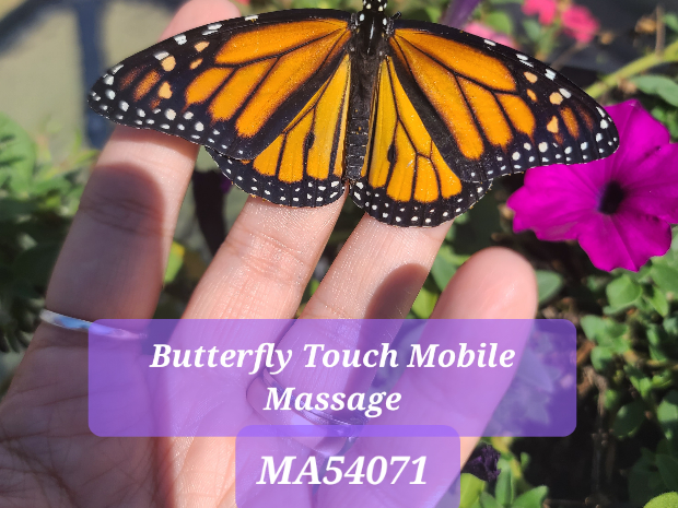 Book a massage with Butterfly Touch Mobile Massage MA54071 | davenport ...
