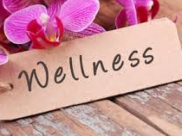 Book a massage with Wellness Factions, LLC | Carrollwood FL 33618