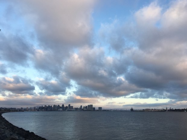 Book a massage with Amanda Moyle Massage Therapy | San Diego CA 92107